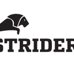 Striders Phonics Readers - Peters