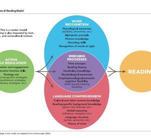 The Benefits of Whole Class Reading | Guided Reading Book Sets - Peters